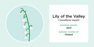 The National Flower Guide to Europe - Wimdu Blog