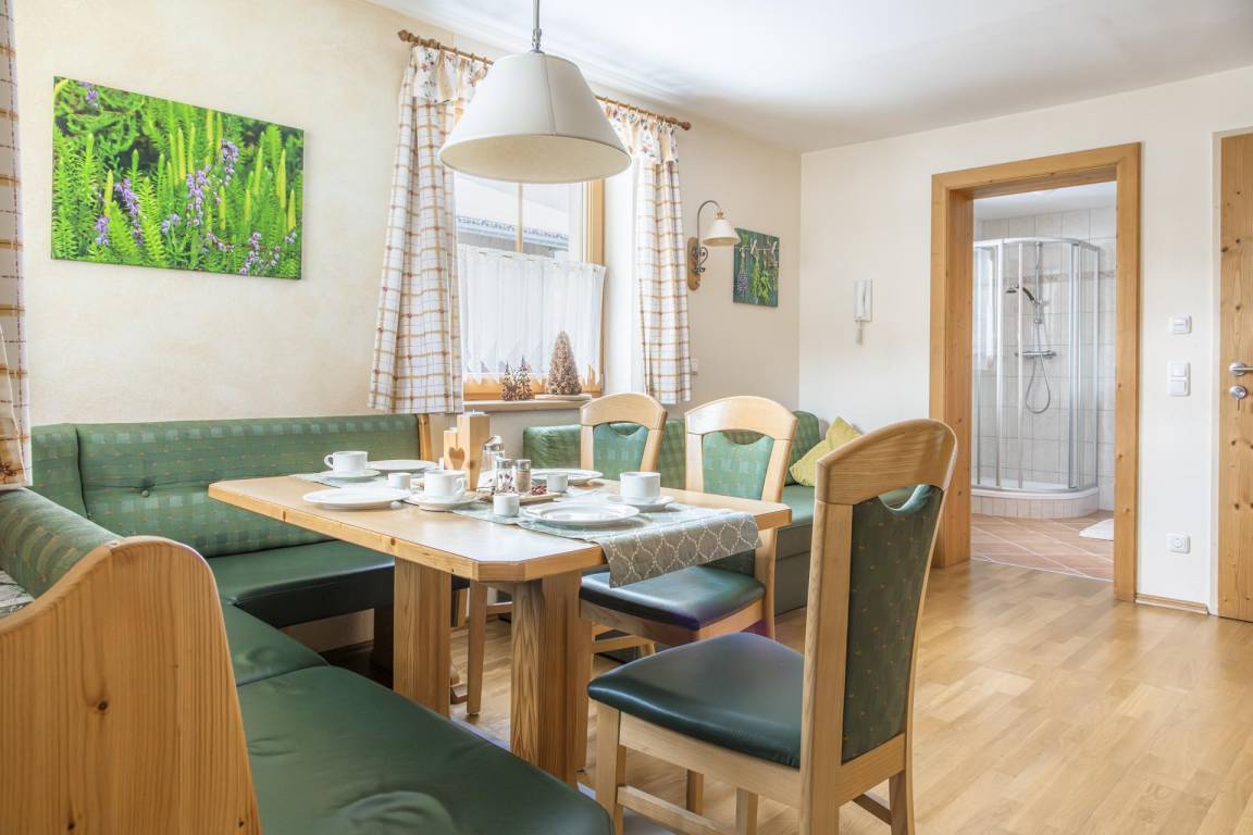Apartment/1 Schlafraum/bad, Wc - Haarlehenbauer, Bauernhof - Großarl