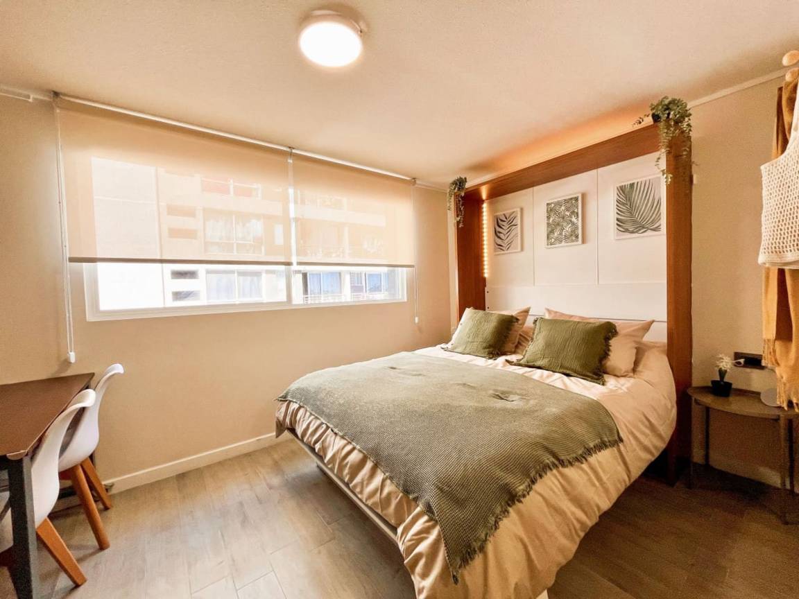 Apartment ∙ 1 Bedroom ∙ 2 Guests - Santiago