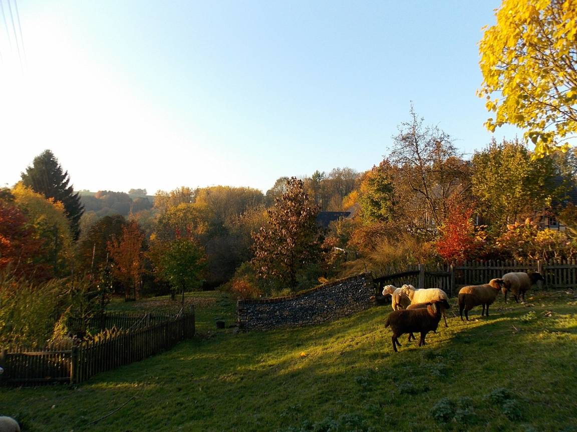 65 M² Apartamento ∙ 1 Habitación ∙ 2 Huéspedes - Lindlar