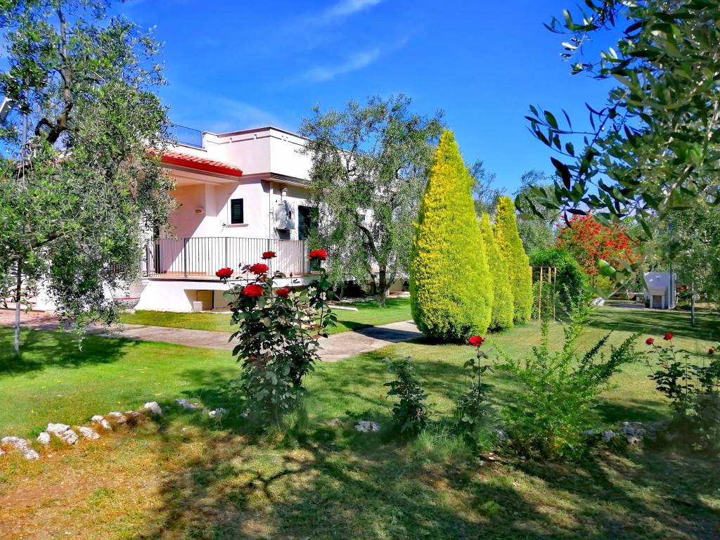 30 M² Apartment ∙ 1 Bedroom ∙ 4 Guests - Peschici