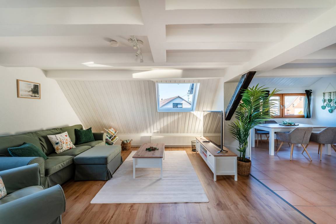 92 M² Apartment ∙ 2 Bedrooms ∙ 4 Guests - Donaueschingen