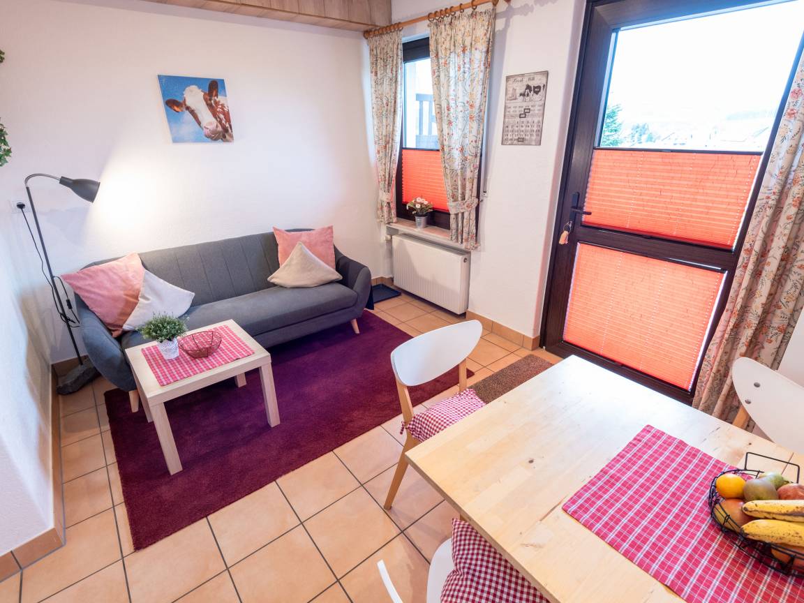 32 M² Appartement ∙ 1 Chambre ∙ 3 Personnes - Kreuztal