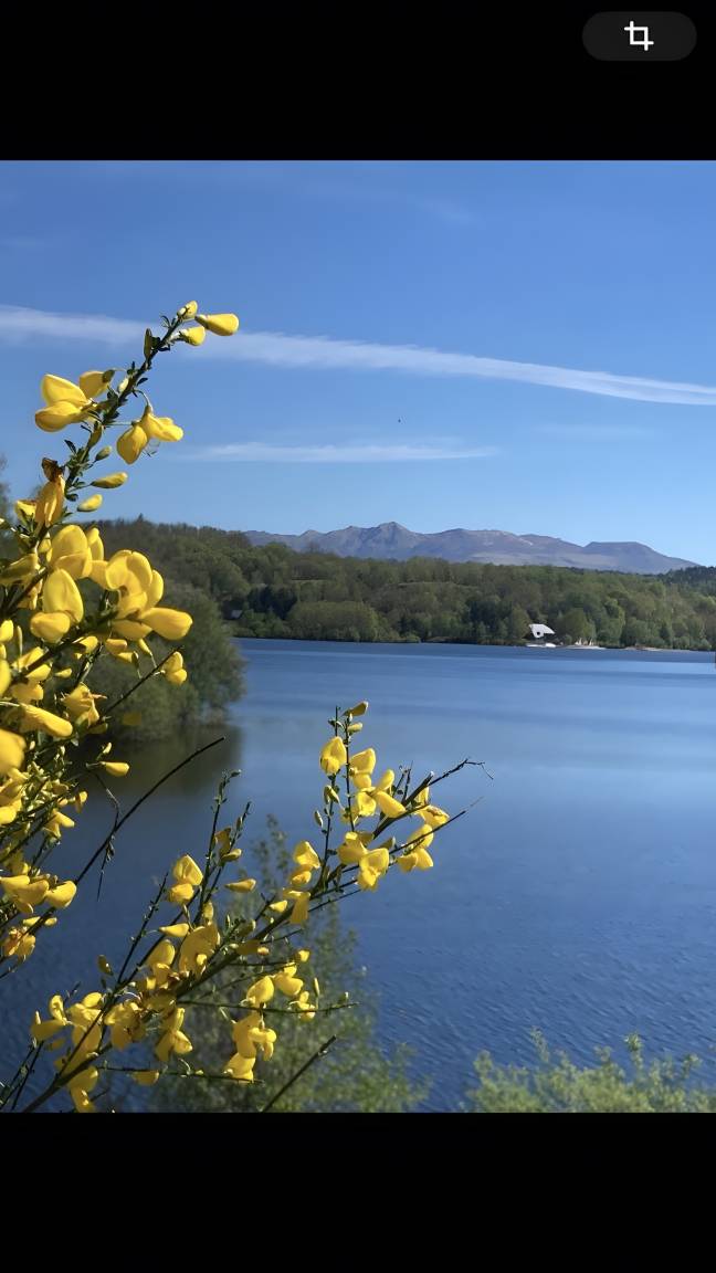 65 M² Chalet ∙ 2 Chambres ∙ 5 Personnes - Auvergne