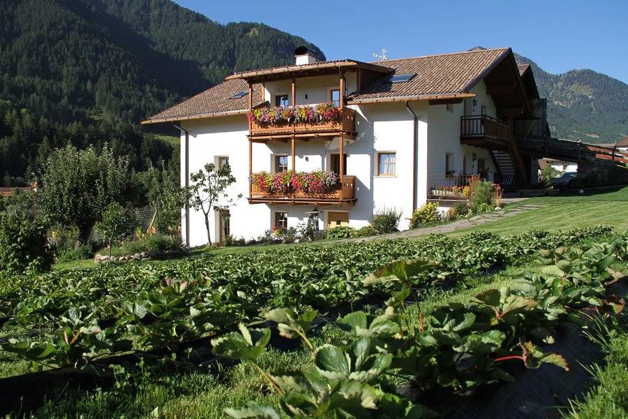 80 M² Bauernhof ∙ 3 Schlafzimmer ∙ 8 Gäste - Val Gardena