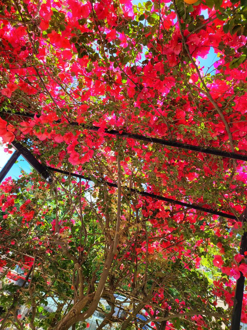 70 M² Apartment ∙ 2 Bedrooms ∙ 7 Guests - Minturno