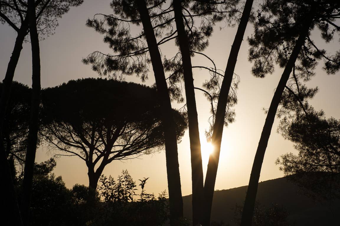 Farmhouse ∙ 2 Bedrooms ∙ 4 Guests - Passignano sul Trasimeno