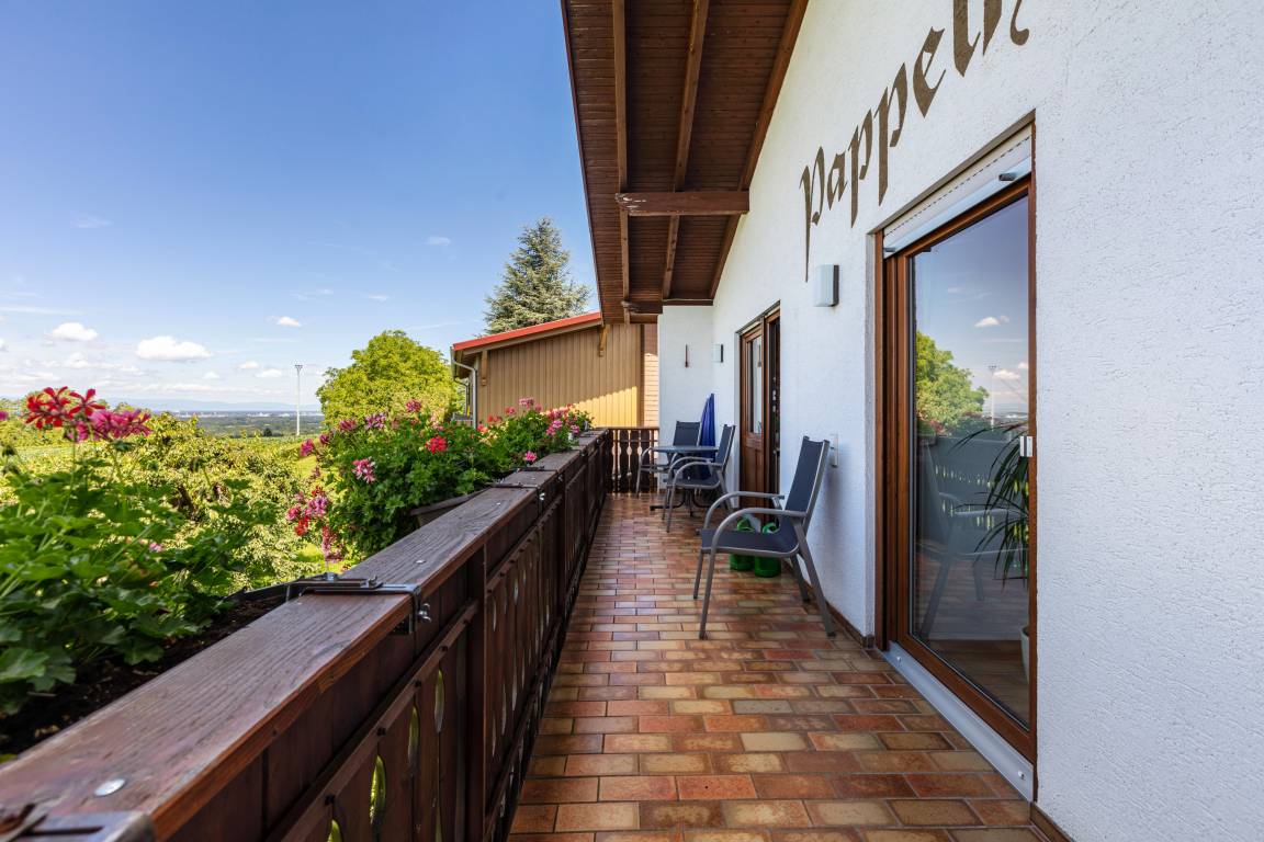 62 M² Appartement ∙ 1 Chambre ∙ 3 Personnes - Bad Bellingen