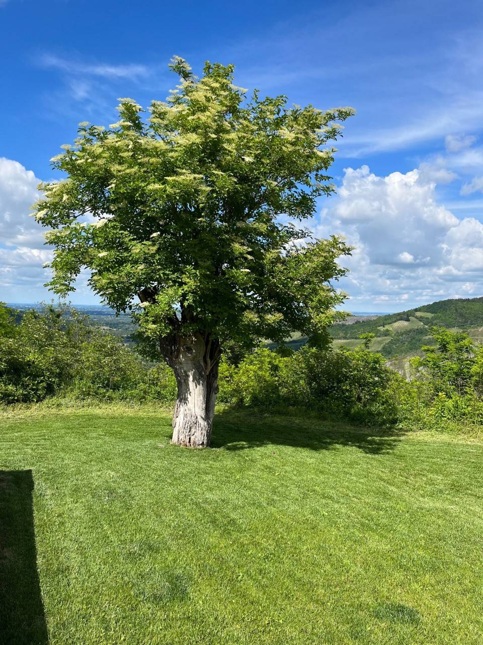 200 M² Villa Vacanza ∙ 3 Camere Da Letto ∙ 8 Ospiti - Casalecchio di Reno