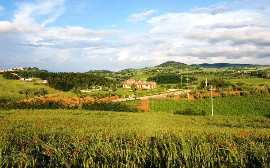 95 M² Farmhouse ∙ 3 Bedrooms ∙ 6 Guests - Pienza