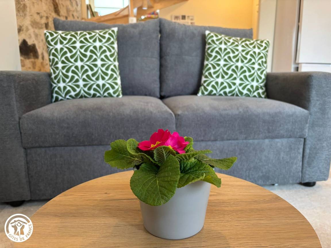 52 M² Landhaus ∙ 1 Schlafzimmer ∙ 4 Gäste - Les Herbiers