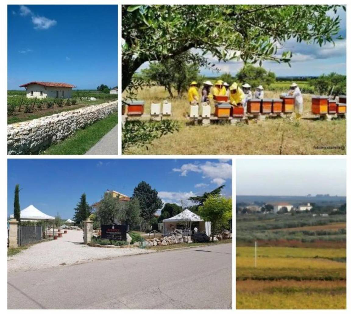 50 M² Casa Vacanza ∙ 2 Camere Da Letto ∙ 4 Ospiti - Andria