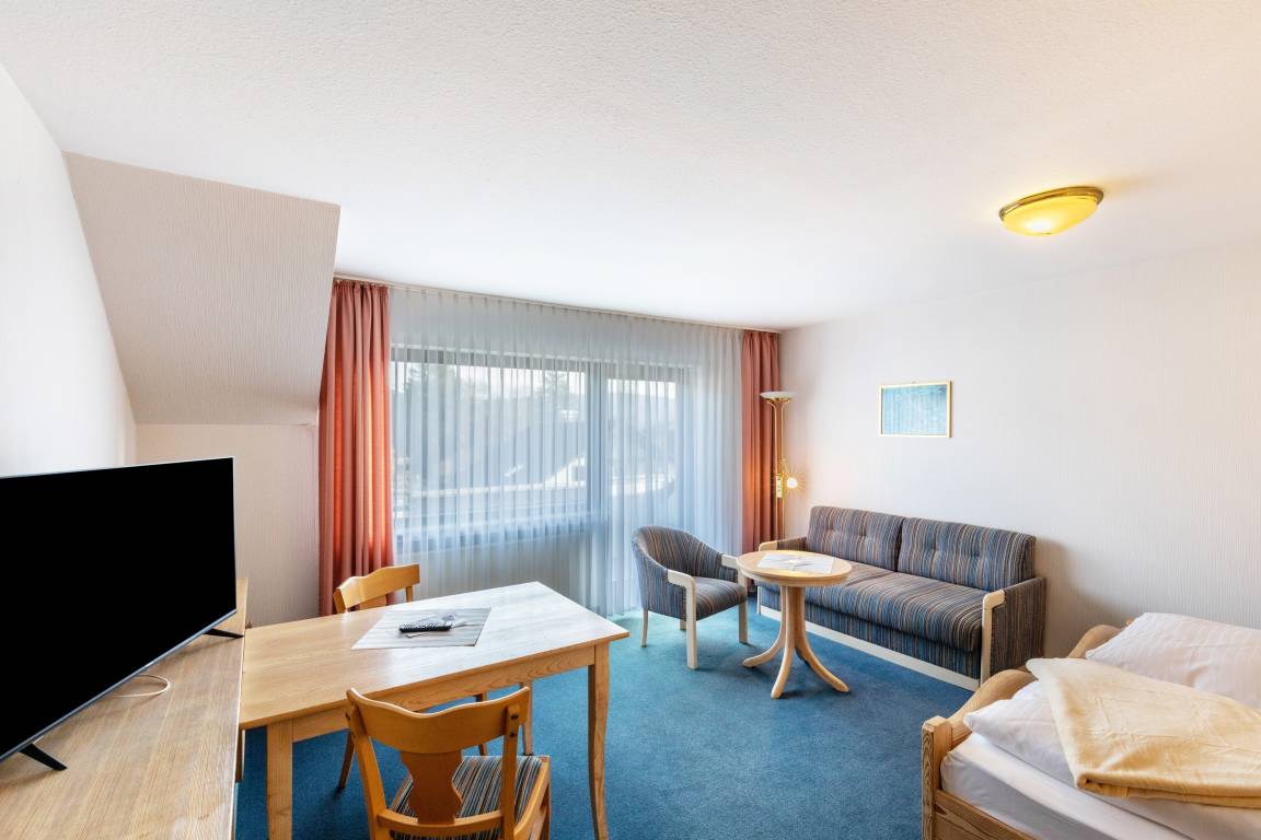 33 M² Apartment ∙ 1 Bedroom ∙ 3 Guests - Bad Soden-Salmünster