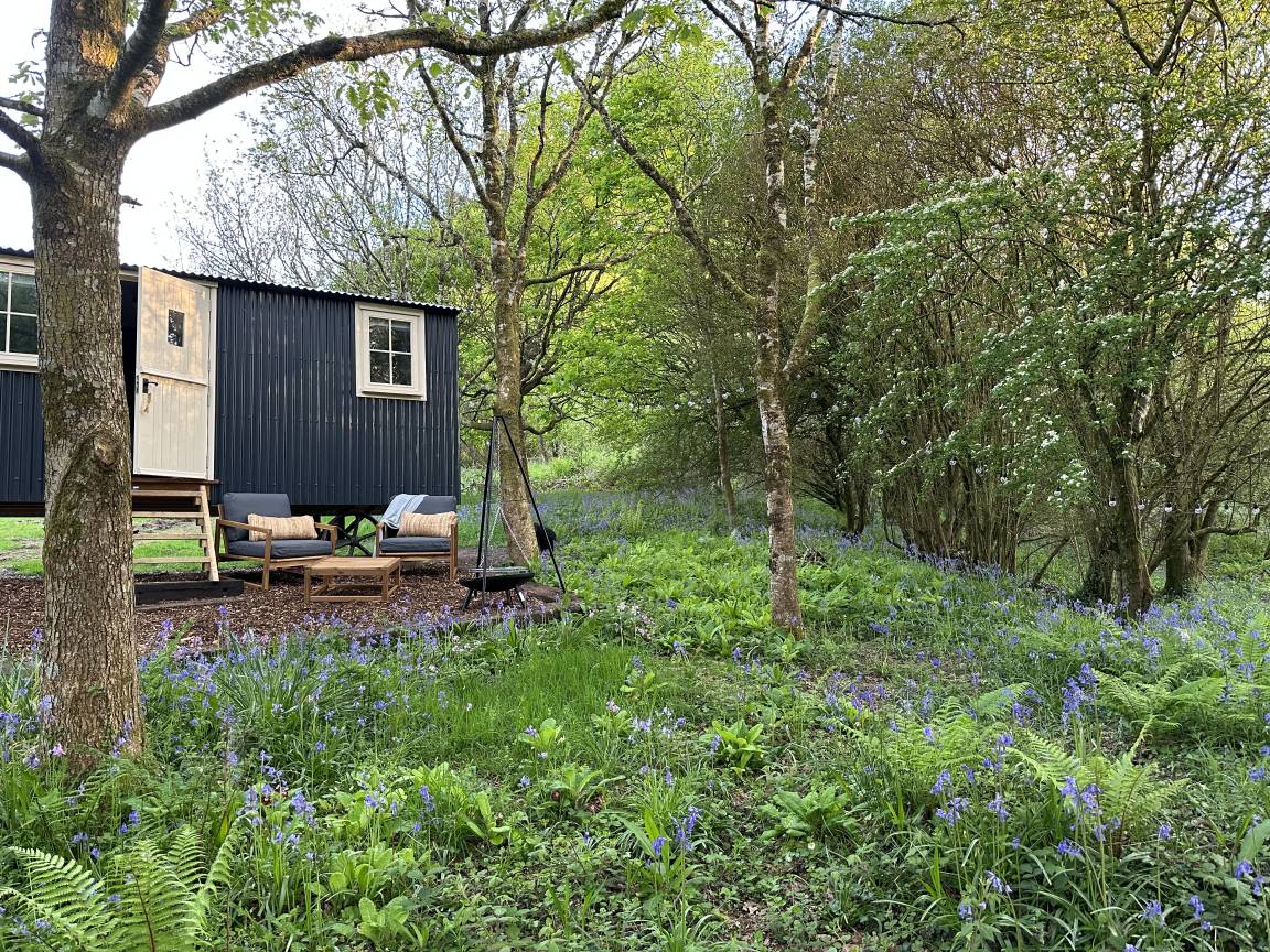 15 M² Cabina ∙ 1 Camera Da Letto ∙ 2 Ospiti - Bodmin