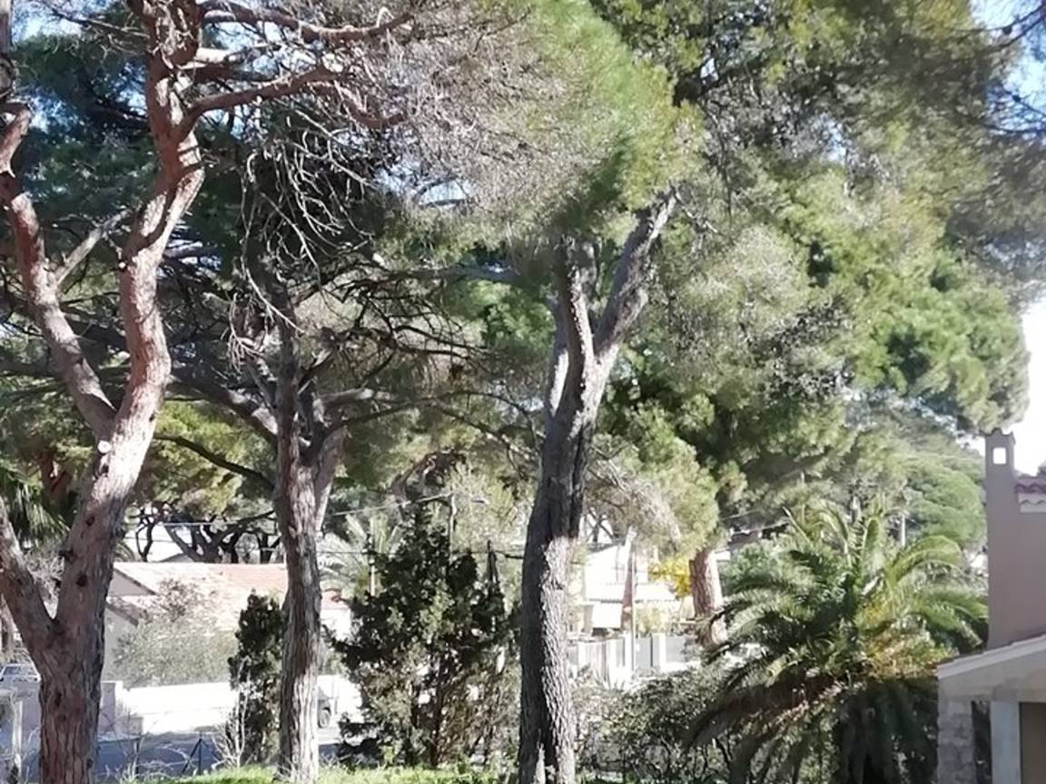 24 M² Studio ∙ 1 Schlafzimmer ∙ 2 Gäste - Porquerolles