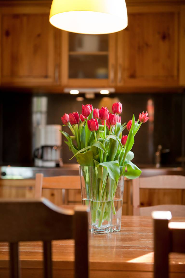 28 M² Ferienhaus ∙ 2 Schlafzimmer ∙ 4 Gäste - Lübbenau/Spreewald