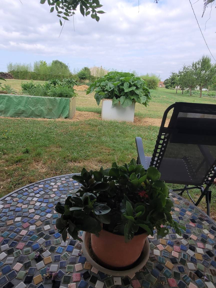 40 M² Maison De Vacances ∙ 1 Chambre ∙ 2 Personnes - Beaumont-de-Lomagne