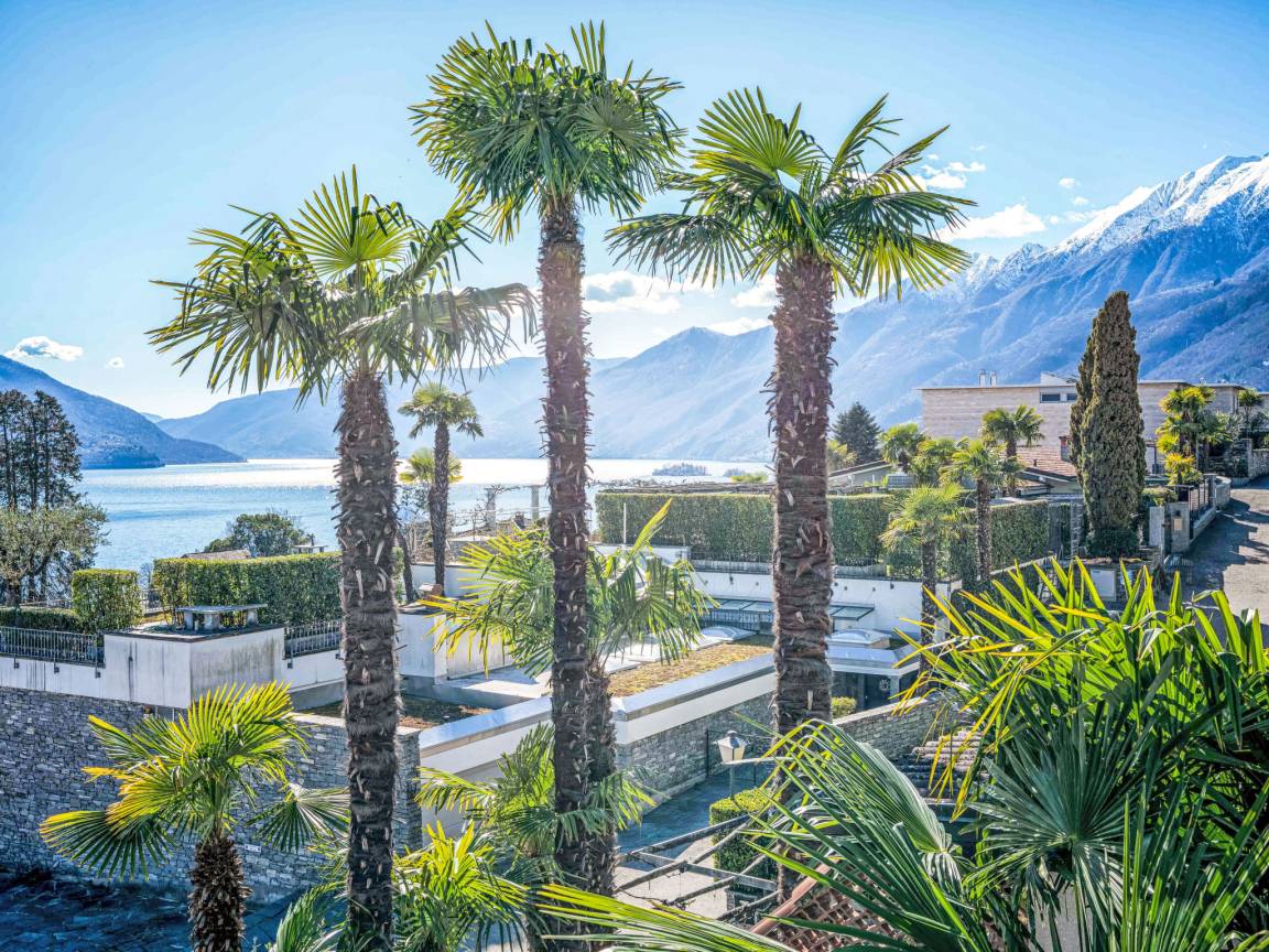 60 M² Appartamento Vacanza ∙ 1 Camera Da Letto ∙ 4 Ospiti - Ascona