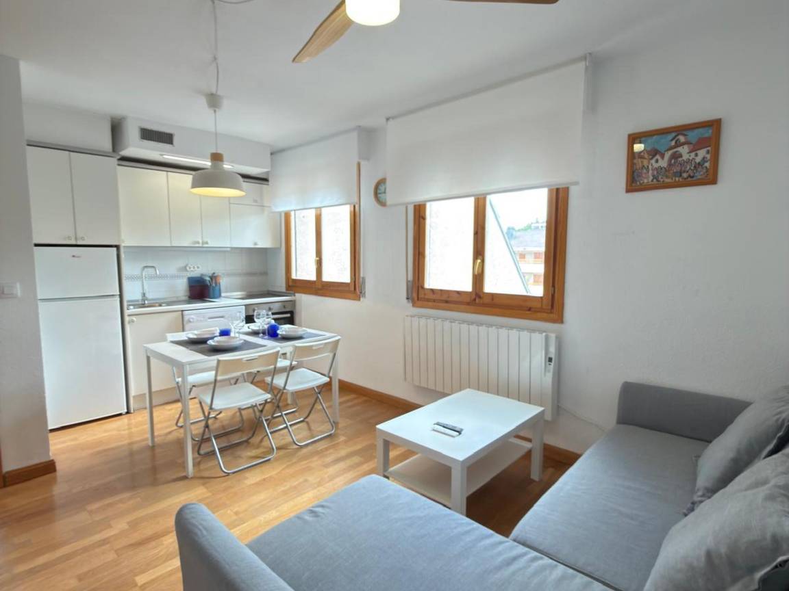 40 M² Apartamento ∙ 1 Habitación ∙ 4 Huéspedes - Jaca