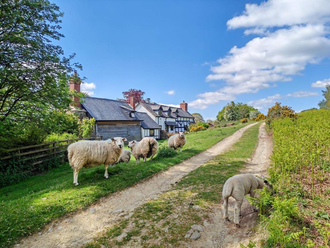 Cottage ∙ 3 Bedrooms ∙ 6 Guests - Leominster
