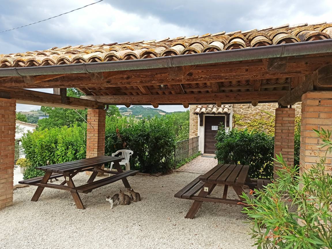 21 M² Farmhouse ∙ 1 Bedroom ∙ 2 Guests - Pergola