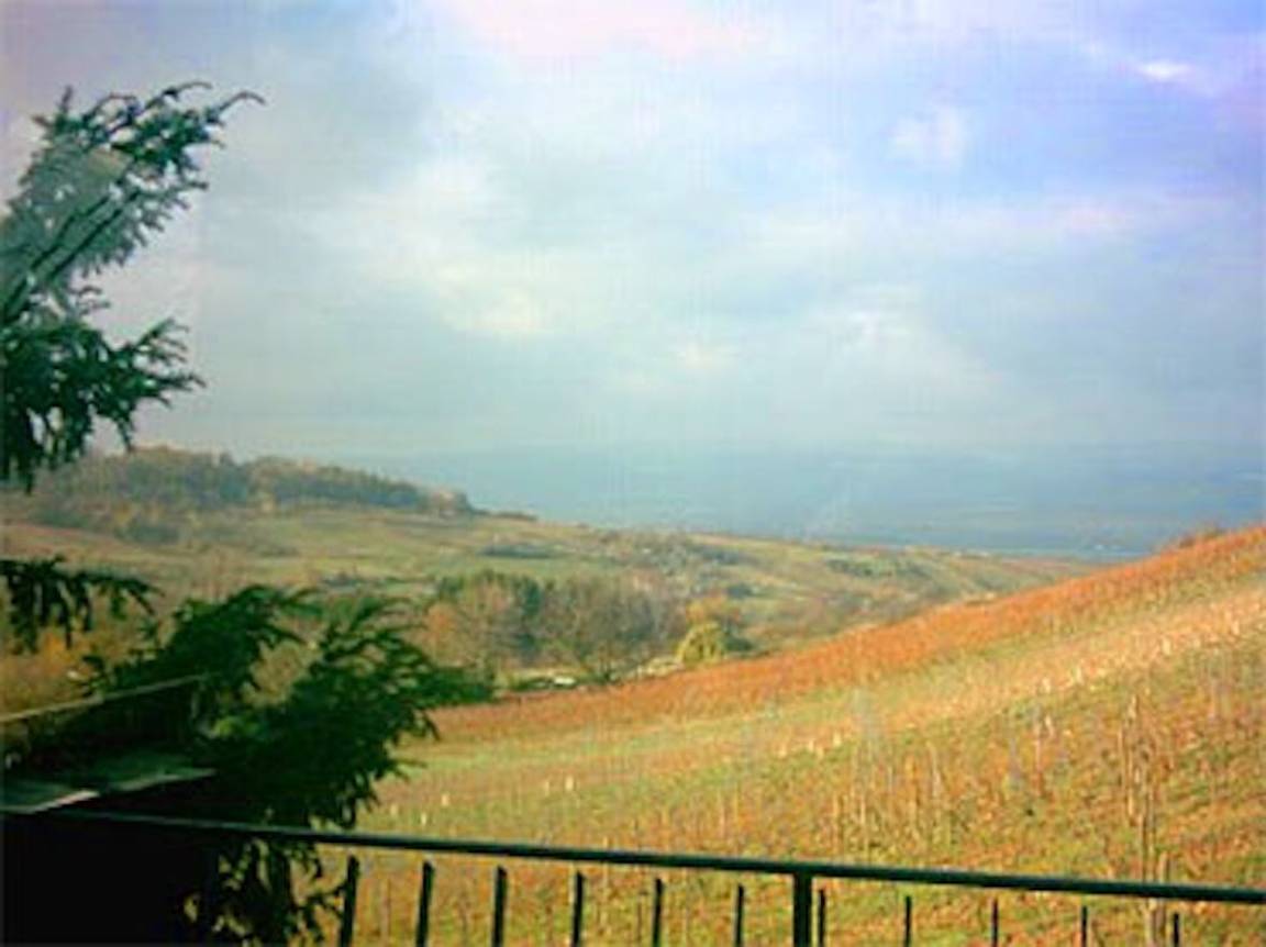 80 M² Ferienwohnung ∙ 5 Schlafzimmer ∙ 6 Gäste - Ingelheim am Rhein