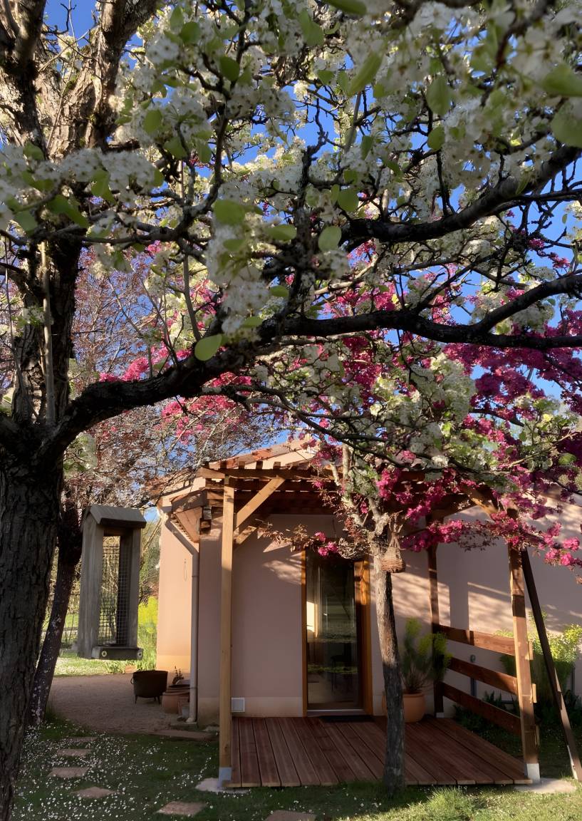 20 M² Studio ∙ 2 Personnes - Saint-Antonin-Noble-Val