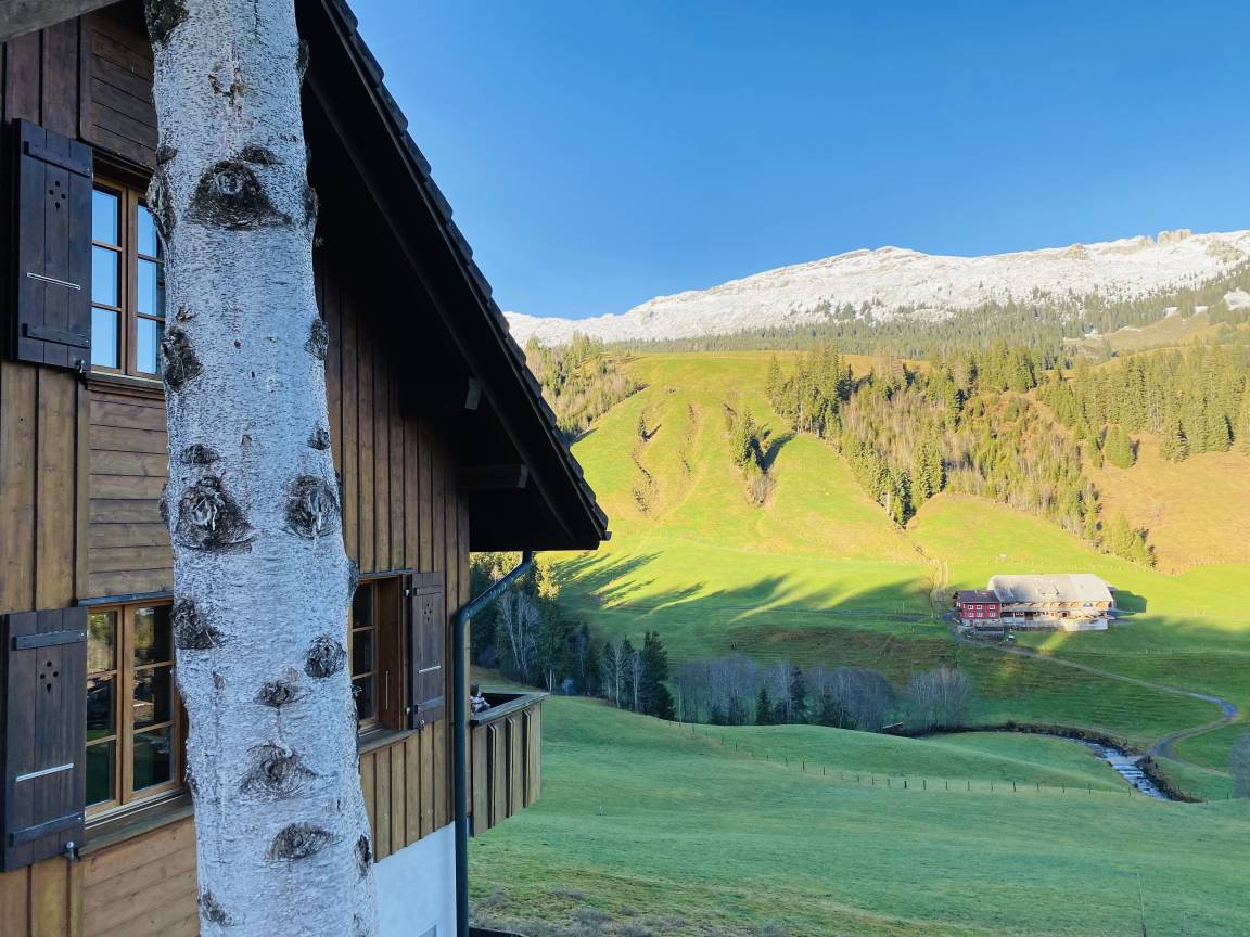 80 M² Apartment ∙ 1 Bedroom ∙ 1 Guest - Switzerland