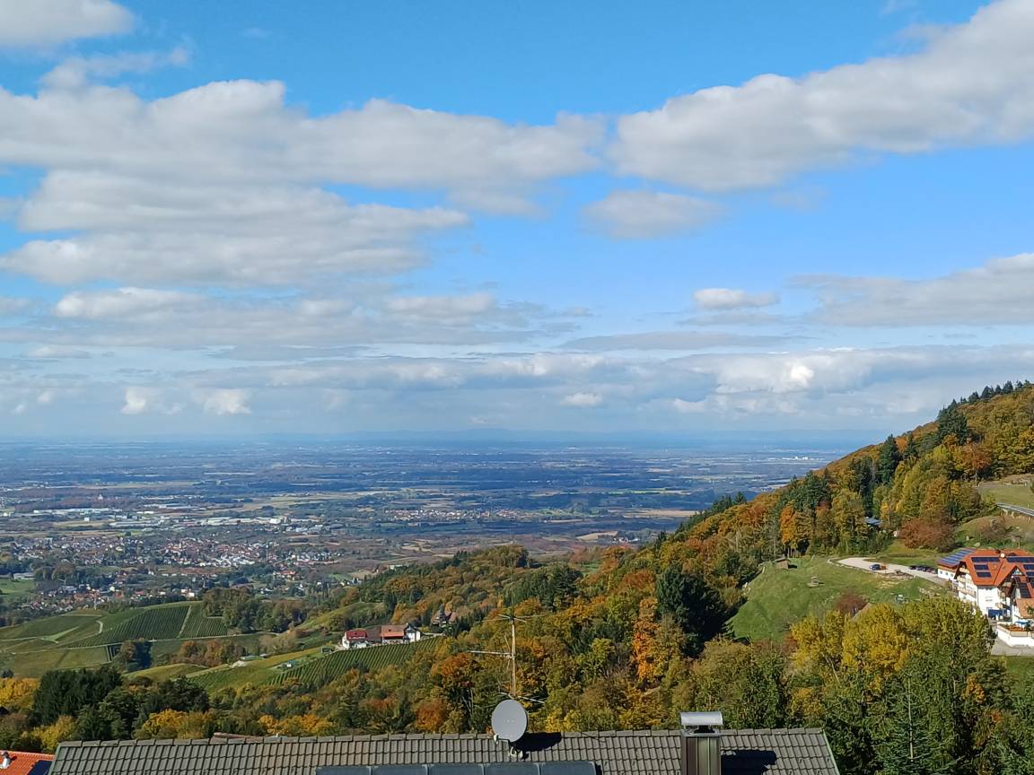 32 M² Appartement ∙ 1 Chambre ∙ 2 Personnes - Sasbachwalden