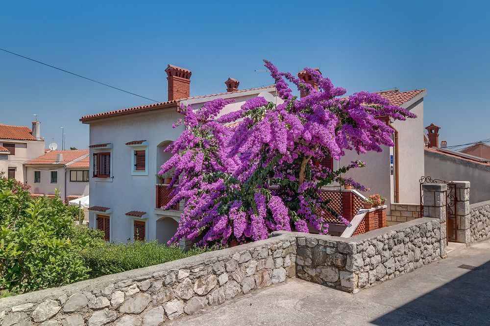 62 M² Ferienwohnung ∙ 2 Schlafzimmer ∙ 4 Gäste - Mali Lošinj