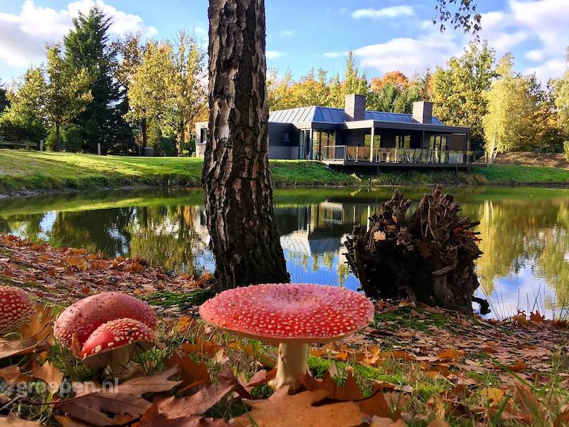 Chalet ∙ 6 Schlafzimmer ∙ 12 Gäste - Bad Bentheim