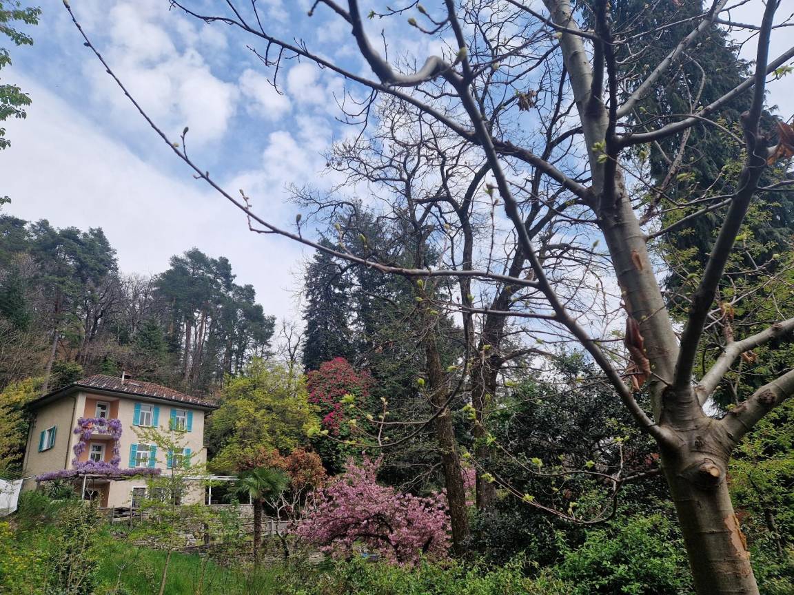 100 M² House ∙ 3 Bedrooms ∙ 8 Guests - Ascona