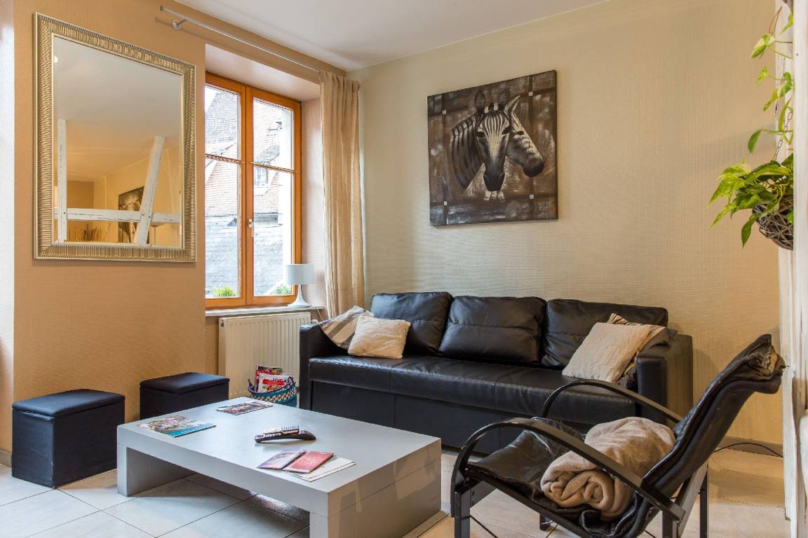 105 M² Apartment ∙ 3 Bedrooms ∙ 10 Guests - Colmar