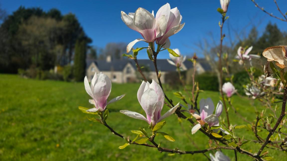 32 M² Maison De Vacances ∙ 1 Chambre ∙ 4 Personnes - Arzano
