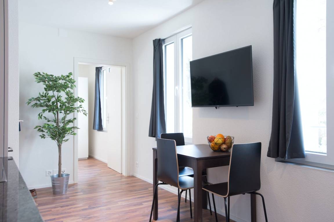 40 M² Apartment ∙ 1 Bedroom ∙ 3 Guests - Zürich