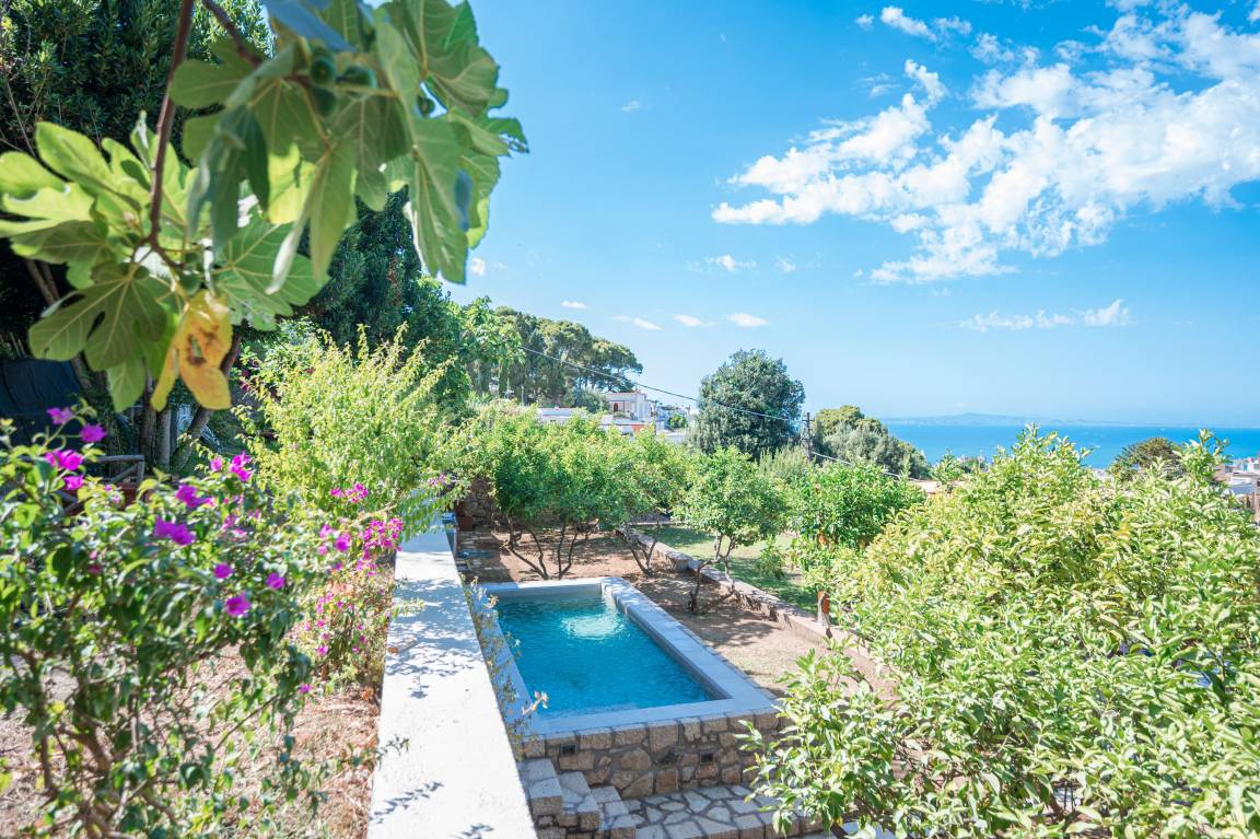 220 M² Villa Vacanza ∙ 1 Camera Da Letto ∙ 8 Ospiti - Isola di Capri