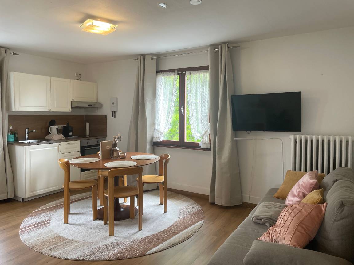 36 M² Appartement ∙ 1 Chambre ∙ 4 Personnes - Titisee-Neustadt