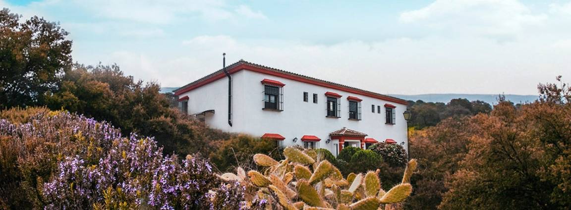 500 M² Casa Rural ∙ 10 Habitaciones ∙ 40 Huéspedes - Andalucía