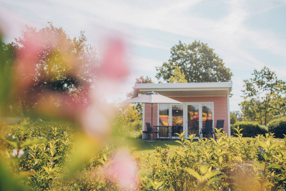 45 M² Huis ∙ 2 Slaapkamers ∙ 4 Gasten - Barneveld