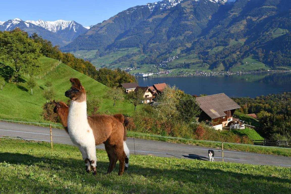 65 M² Ferienhaus ∙ 2 Schlafzimmer ∙ 4 Gäste - Brienz