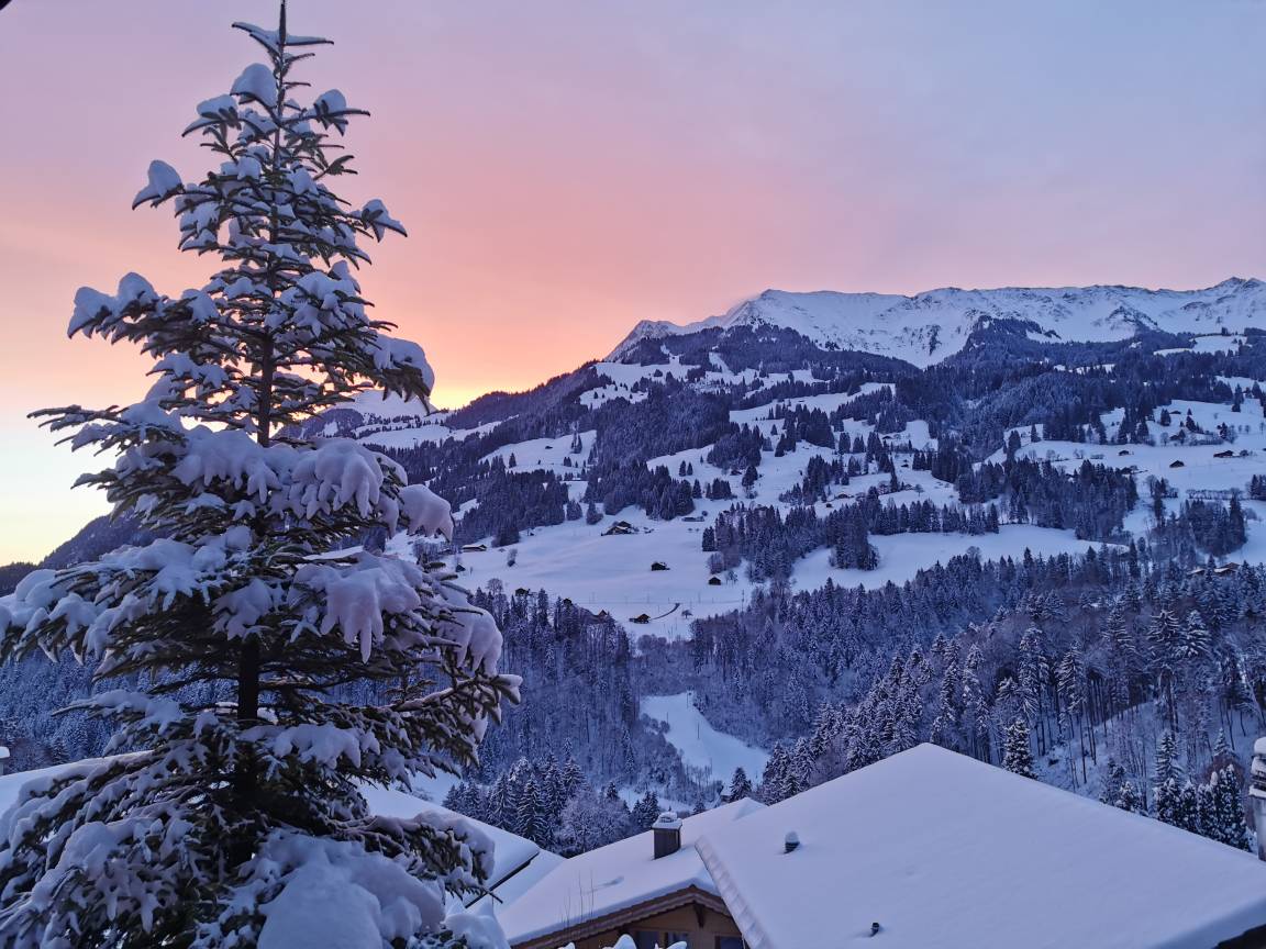 72 M² Appartement ∙ 2 Chambres ∙ 4 Personnes - Thoune