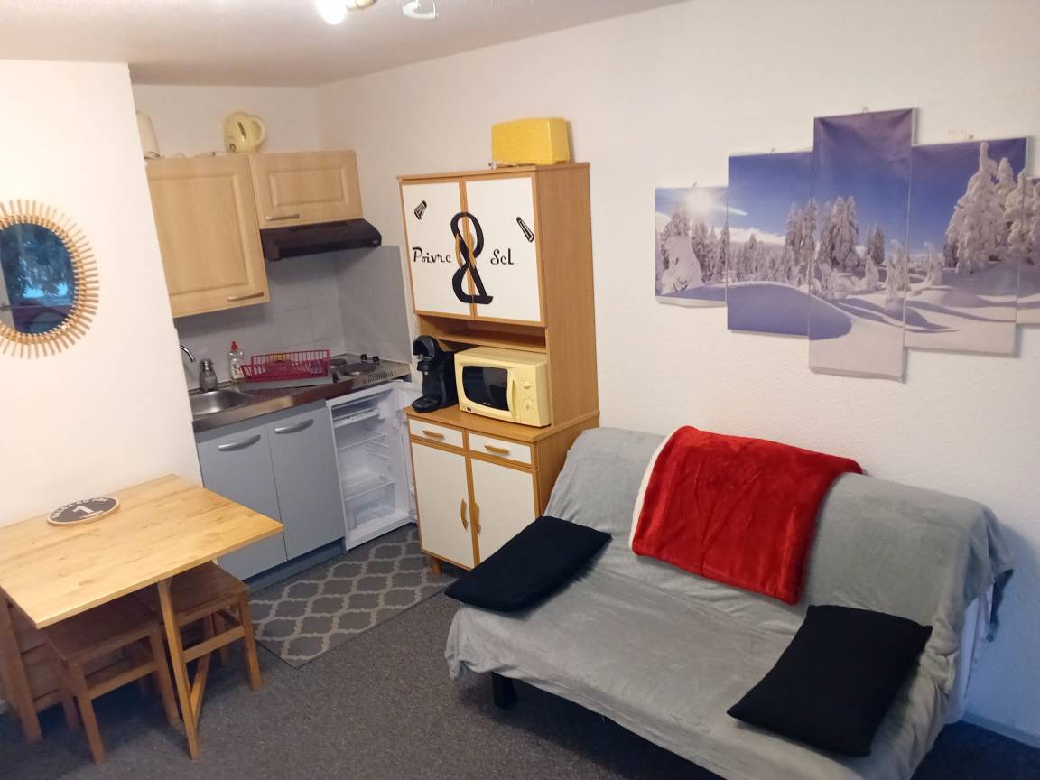 20 M² Appartement ∙ 1 Chambre ∙ 4 Personnes - Prapoutel