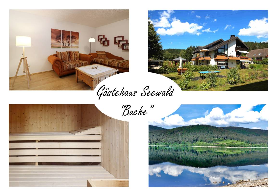 50 M² Appartement ∙ 1 Chambre ∙ 3 Personnes - Schluchsee