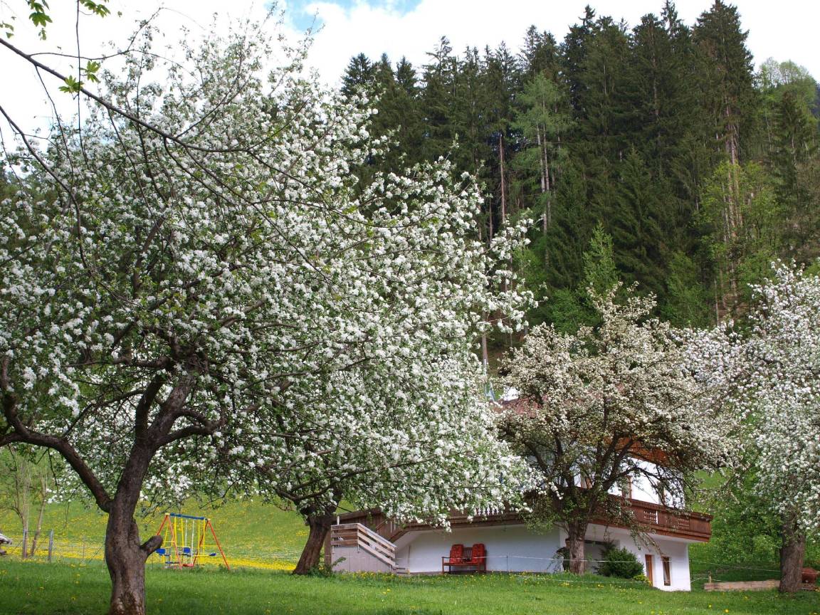 115 M² Ferienhaus ∙ 3 Schlafzimmer ∙ 7 Gäste - Uderns