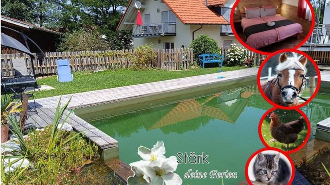 60 M² Ferienwohnung ∙ 1 Schlafzimmer ∙ 2 Gäste - Tettnang