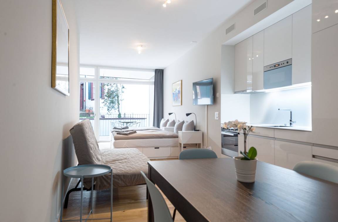 45 M² Studio Flat ∙ 4 Guests - Basel