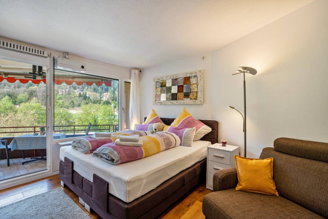 38 M² Estudio ∙ 3 Huéspedes - Schömberg