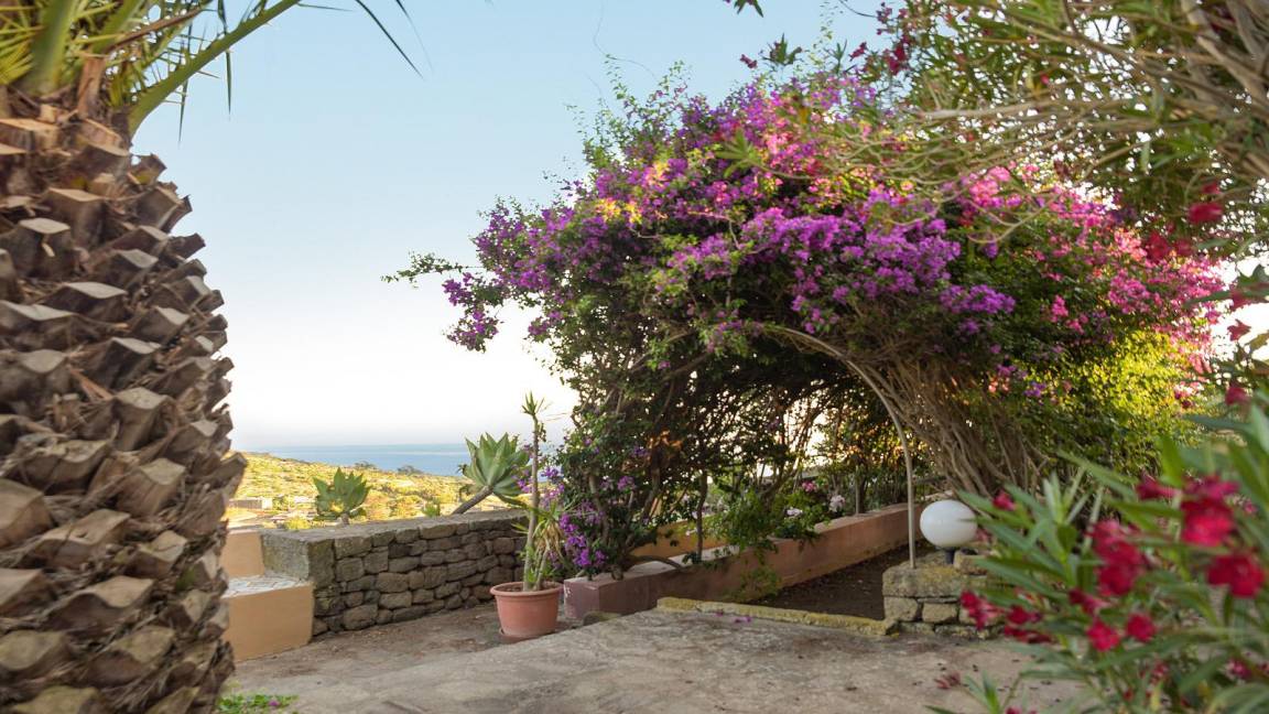 Villa ∙ 3 Bedrooms ∙ 6 Guests - Pantelleria