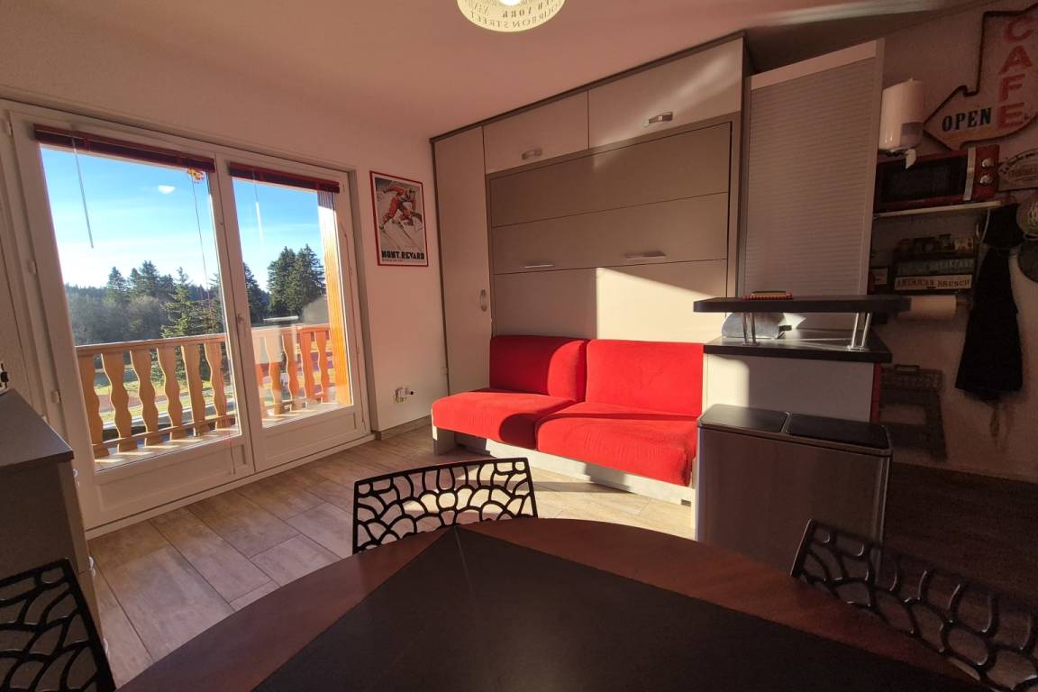 26 M² Appartement ∙ 1 Chambre ∙ 4 Personnes - Aillon-le-Jeune