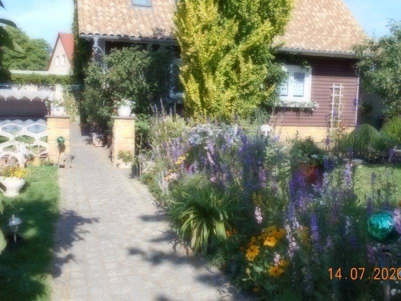 60 M² Ferienwohnung ∙ 1 Schlafzimmer ∙ 3 Gäste - Sangerhausen